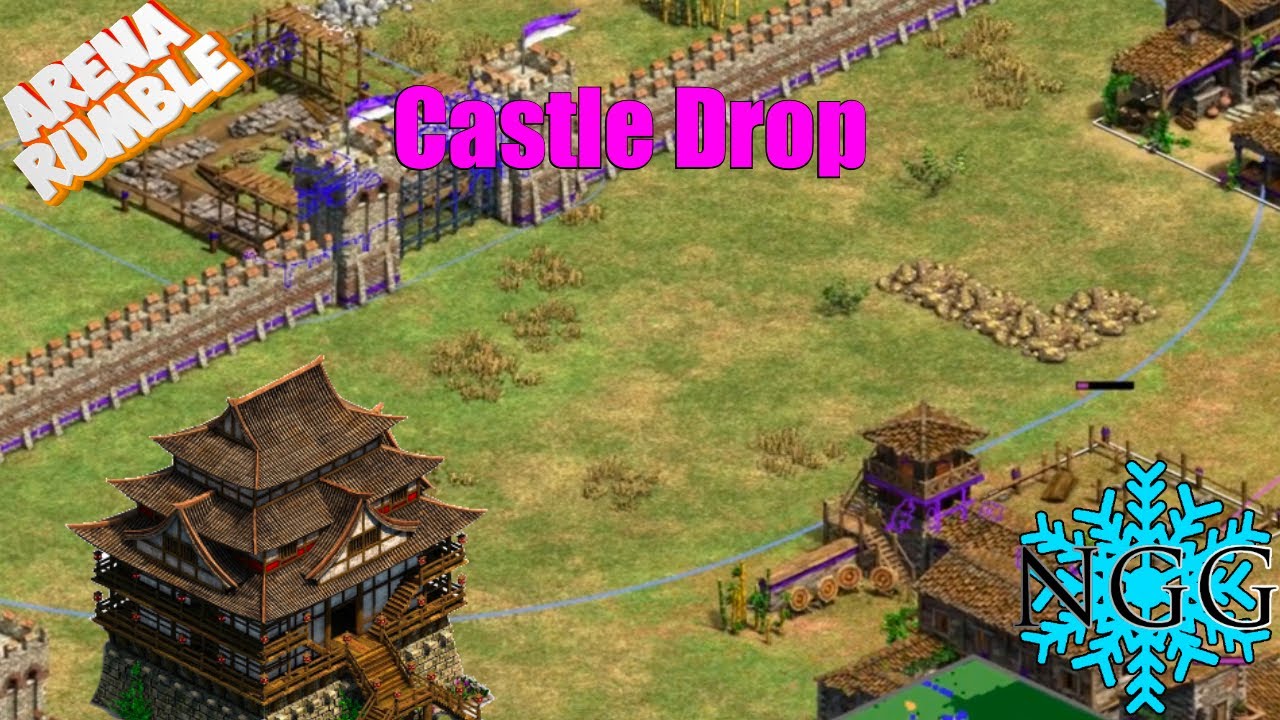 AoE2: Arena Castle Drop - YouTube