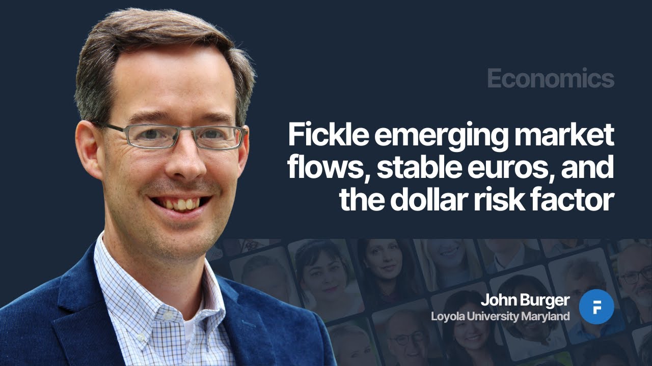 Fickle emerging market flows, stable euros, and the dollar risk factor ...
