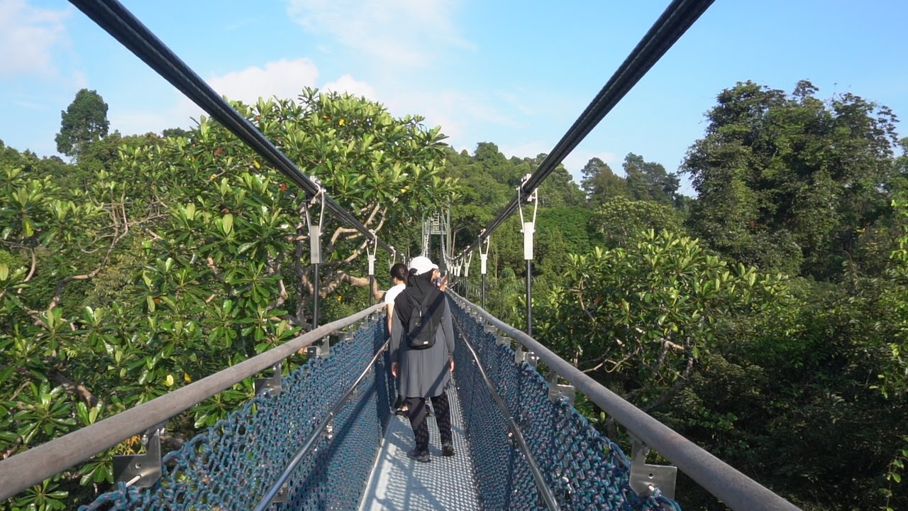Hiking I Windsor Nature Park I Tree Top Walk - YouTube