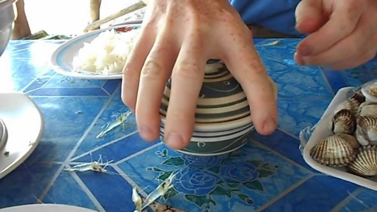 DANCING PRAWNS - YouTube