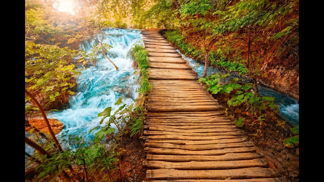 Relax video. Meditation relax music, relaxing music, meditation, relax ...