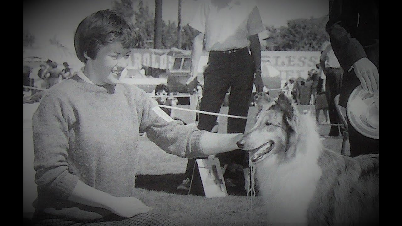 Interview Leslie Rappaport - 03 Early Breeder Influence - YouTube