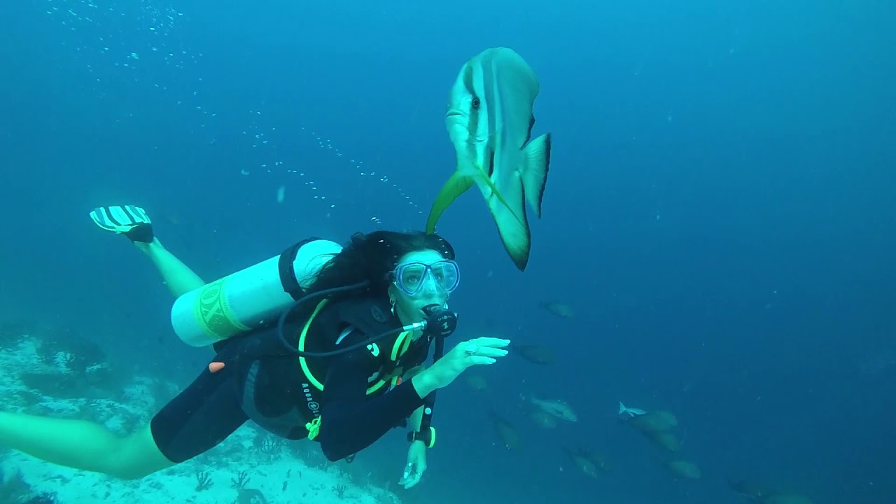 Extreme Maldives Cocoon Dive - YouTube