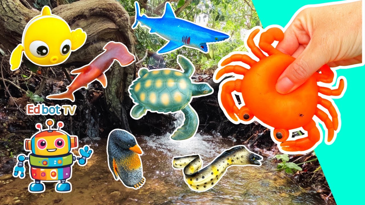 Kids Learn at the Double Waterfall | Sea Animal Names: Crab Clownfish ...