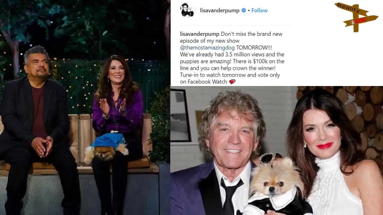 Vanderpump Dogs Show May Be Coming To Bravo And the RHOBH Cast Isn’t ...