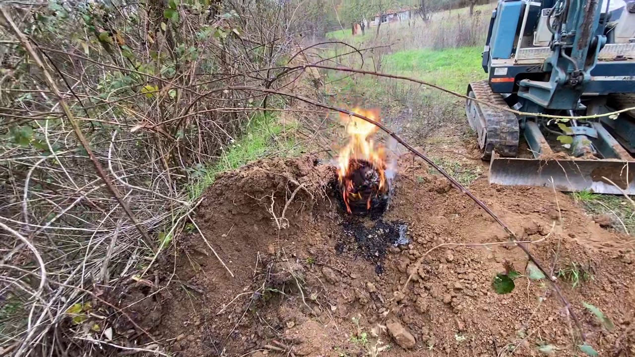 Запалихме Гнездо Диви Оси Как да се предпазим от Ужилване на Стършели