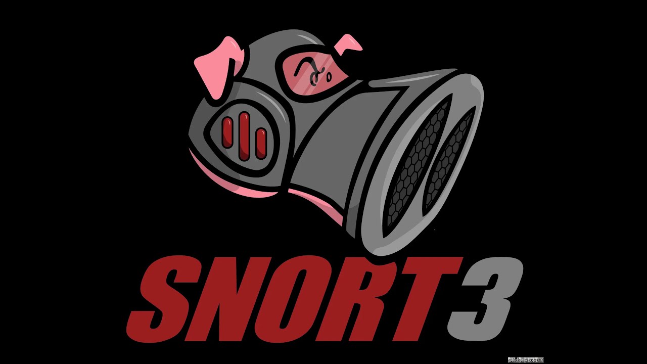 Snort 3 Short Video | Project Showcase | AI Voice | Infotact-Solutions |@infotact-solutions ...