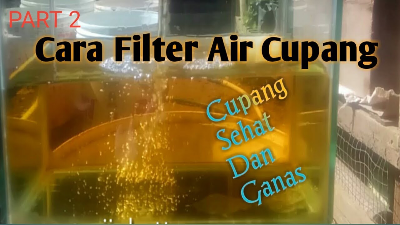 Cara filter air cupang part 2 / hasil akhir filter air cupang - YouTube