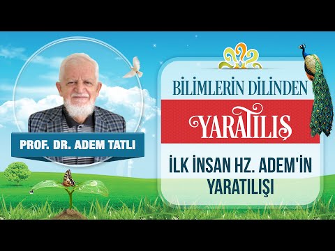 İlk insan Hz. Adem'in yaratılışı - Prof. Dr. Adem TATLI