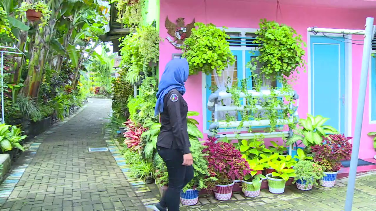 REDAKSI PAGI | INSPIRASI PAGI | KAMPUNG GO GREEN (22/01/18) - YouTube