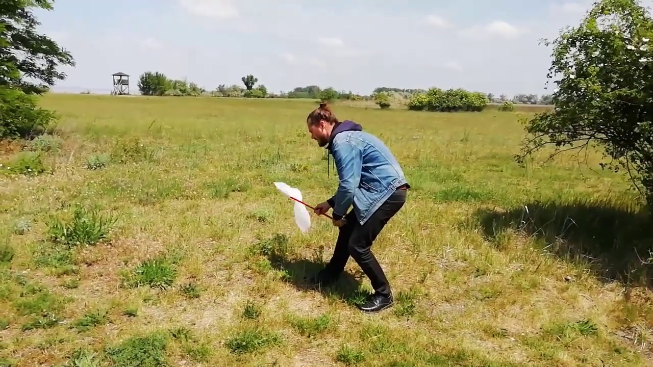 Methods in pollination biology 1 - how to use a butterfly net - YouTube
