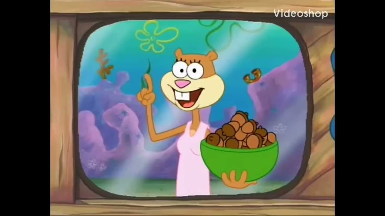 SpongeBob SquarePants Do Not Disturb Speed Up 2x - YouTube