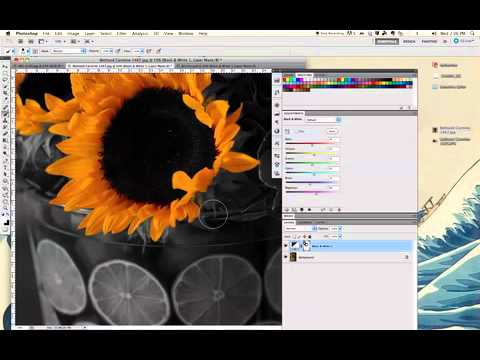 Selective Color Color Select Tool iPhone - YouTube