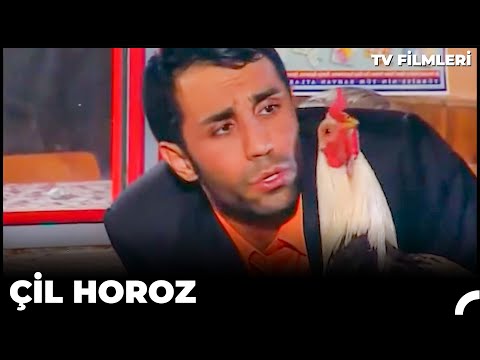 Çil Horoz - Kanal 7 TV Filmleri