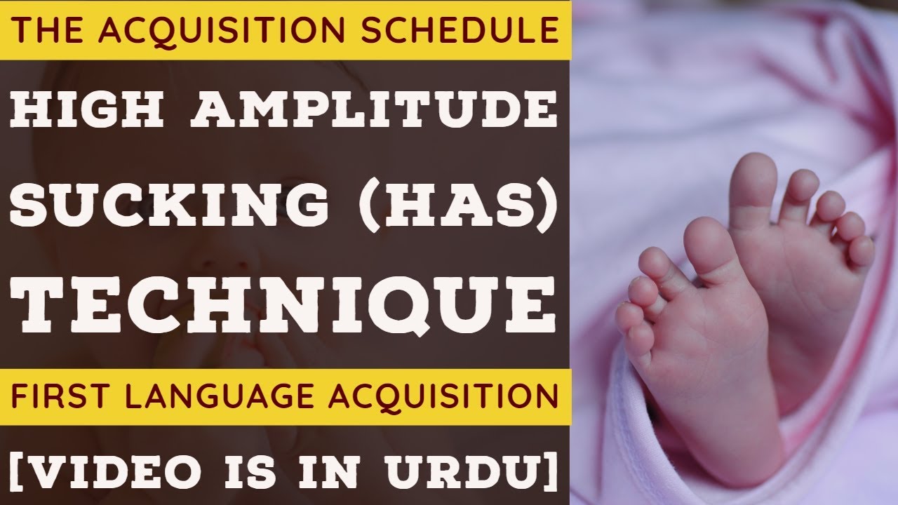 Acquisition Schedule High Amplitude Sucking HAS Stages Of First acquisition-schedule-high-amplitude-sucking-has-stages-of-first
