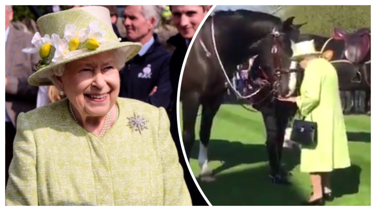 Queen Elizabeth Arrives Onboard Royal Train & Feeds Horses | Royal ...