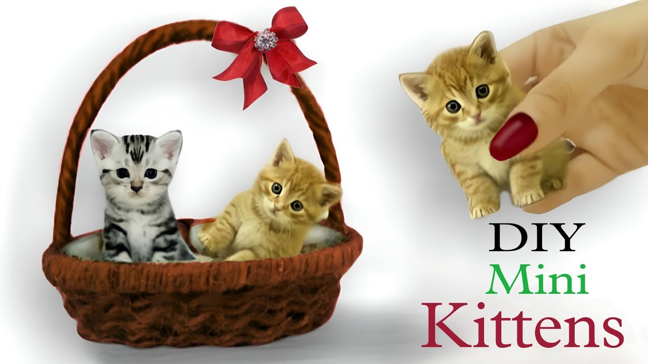 How To Make A Cat | DIY Basket | Cardboard Crafts | Miniature Crafts ...