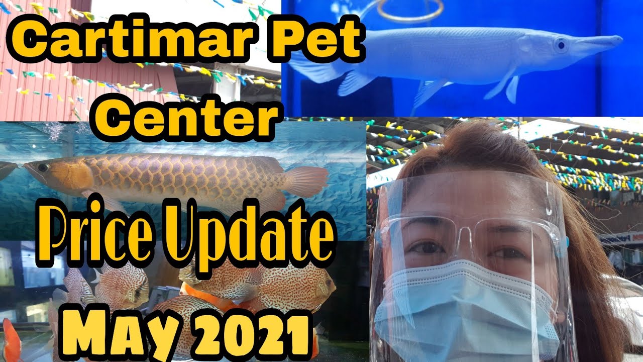 Cartimar Pet Center Philippines | Price Update May 2021 | Part 1 ...