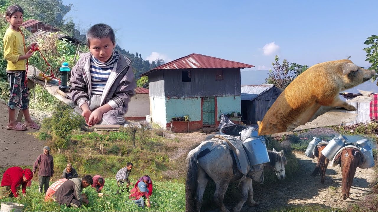 Beautiful life in Mountain Village- Outstanding View & Nature - YouTube