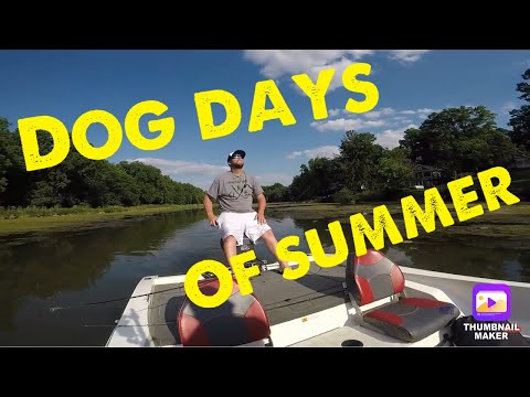 HOT Summer fishing (Topwater Bite....)