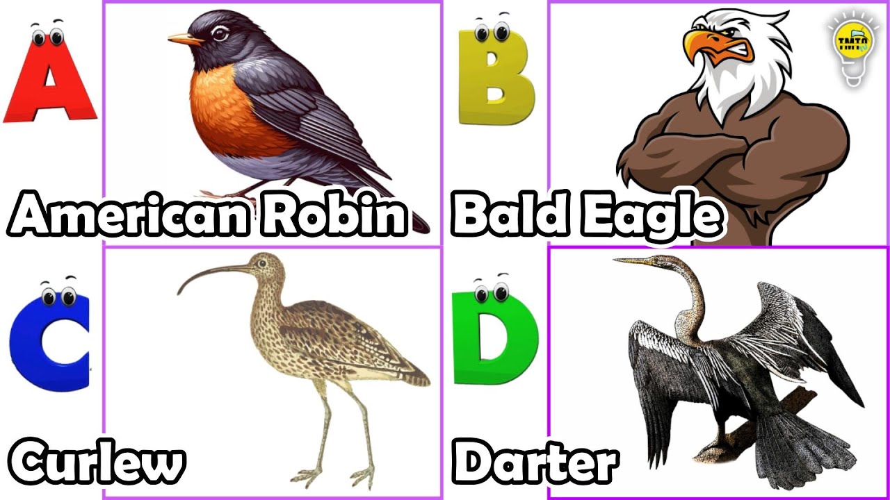 Birds Alphabet Song for Kids | Birds ABC Song | Phonics for Kids | Baby ...