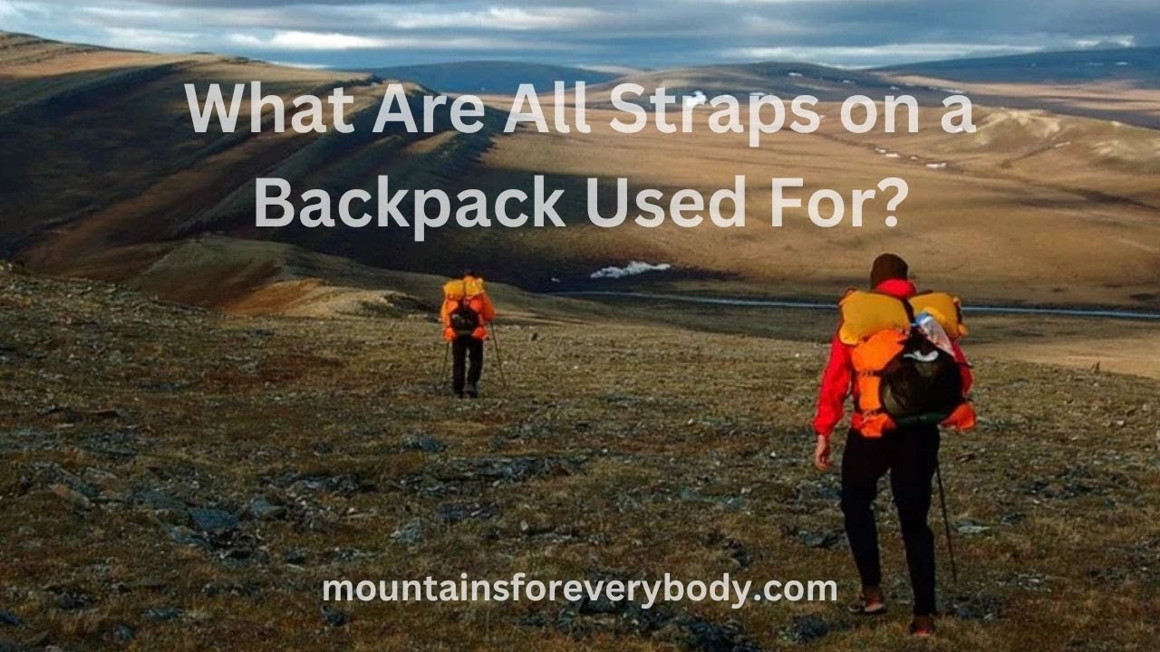 What Are All Straps on a Backpack Used For? - YouTube