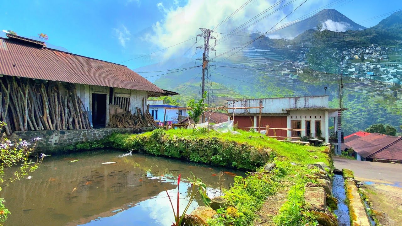 Virtual Walk - Enjoy the natural beauty of the Indonesian countryside ...