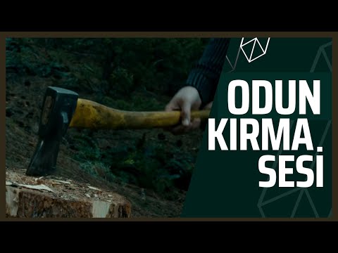 Balta ile Odun Kırma Sesi