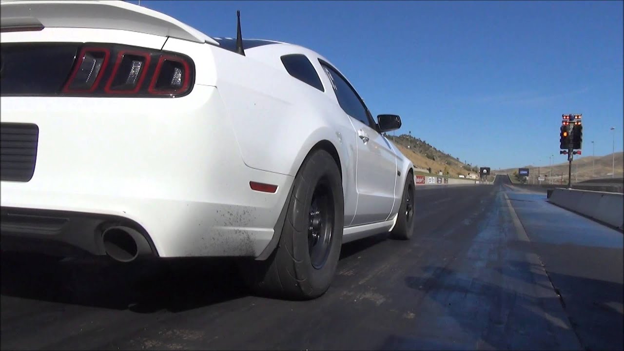 Coyote Muscle - YouTube