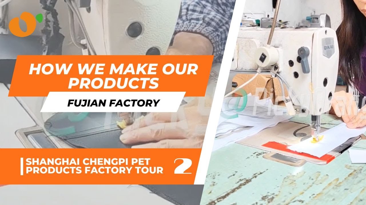 How we make pet products for pet, CHENGPI PETS factory tour, Pet ...