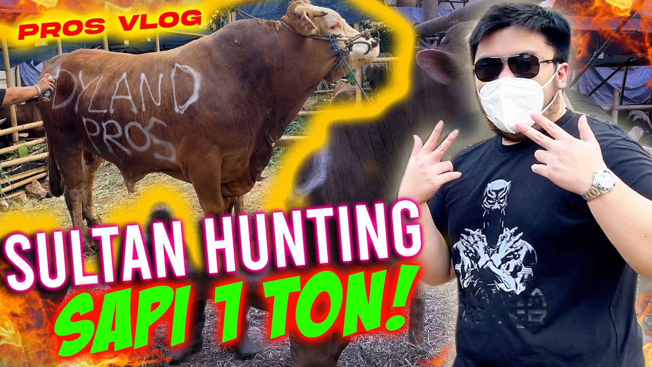 SULTAN BELI SAPI 1 TON BARENG PAPI PROS!! ALHAMDULILLAH! - YouTube