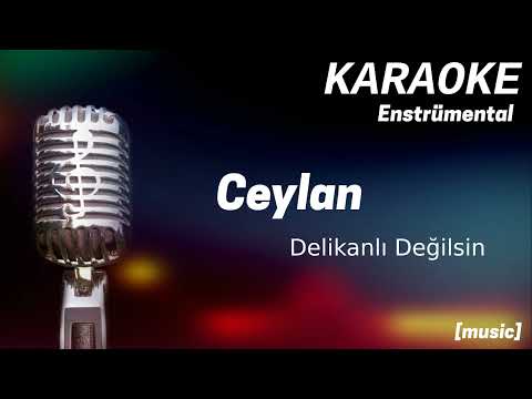 Karaoke Ceylan Delikanlı Değilsin