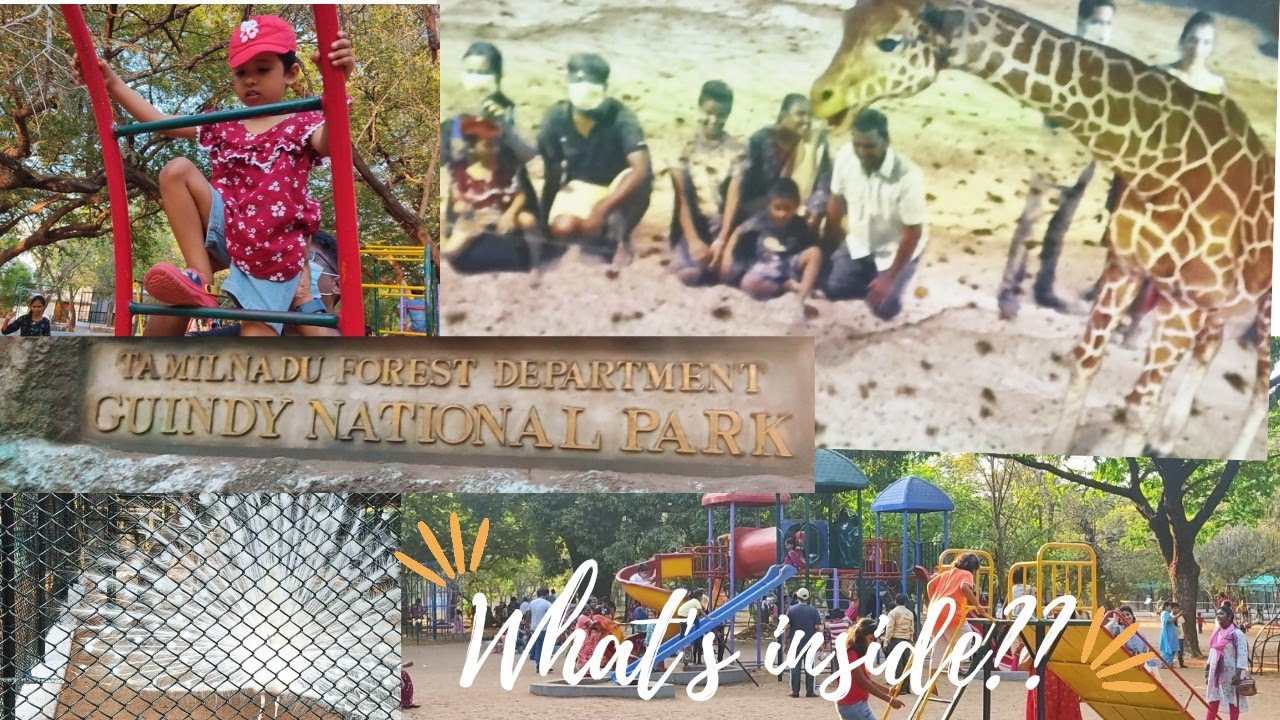 Guindy National Park| Guindy Children's Park| Site seeing in Chennai ...