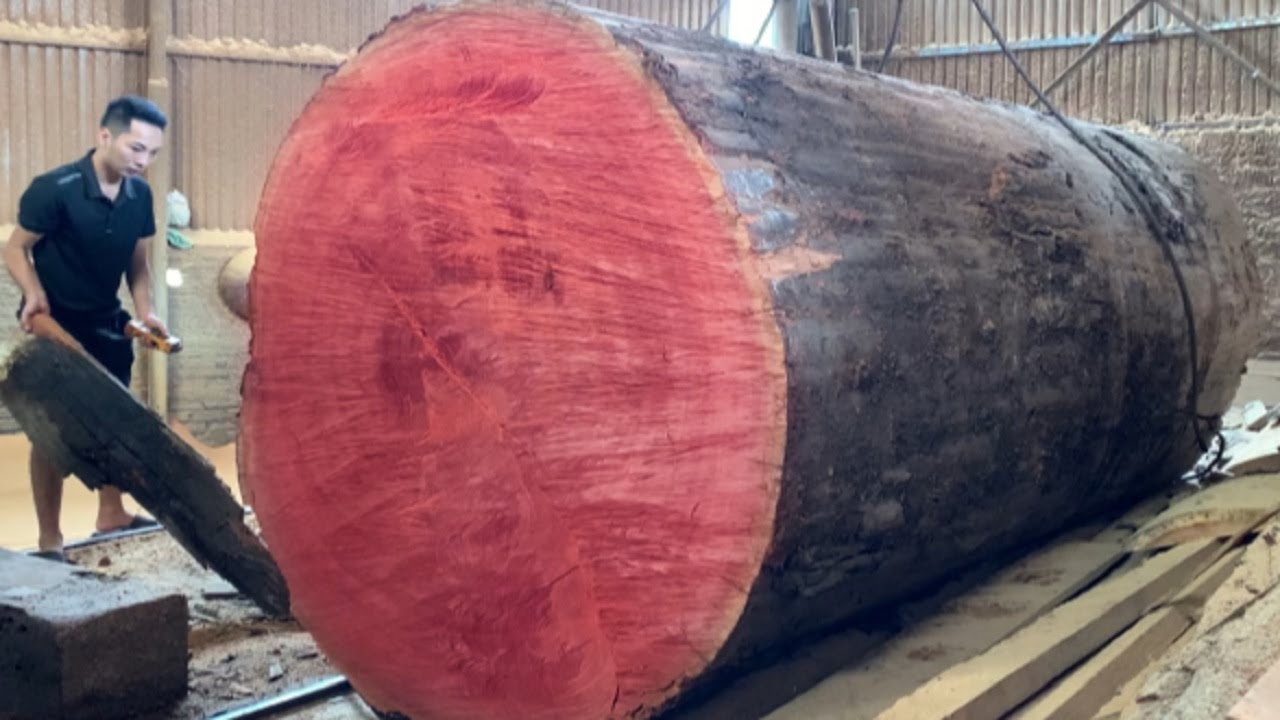 Amazing Factory Wood Sawmill - Sawmiller Struggles Cut Downd World's ...