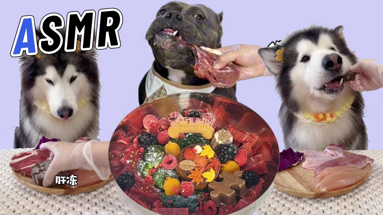 【Dog Mukbang ASMR】Arrange Australian rice dragon for dogs #ASMR # ...