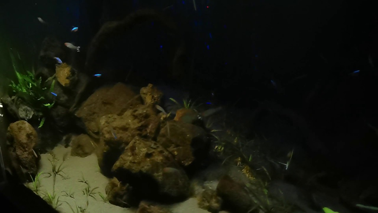 In a Darkened Room - YouTube