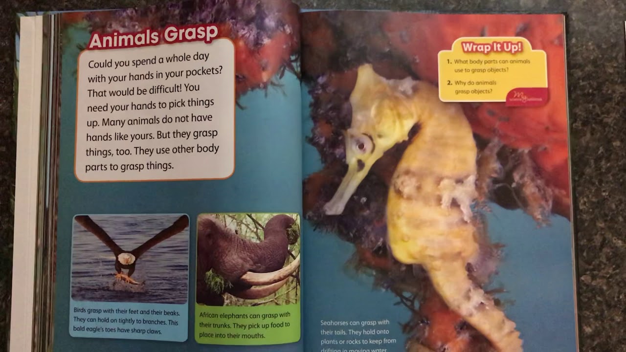 Animal Grasp - YouTube