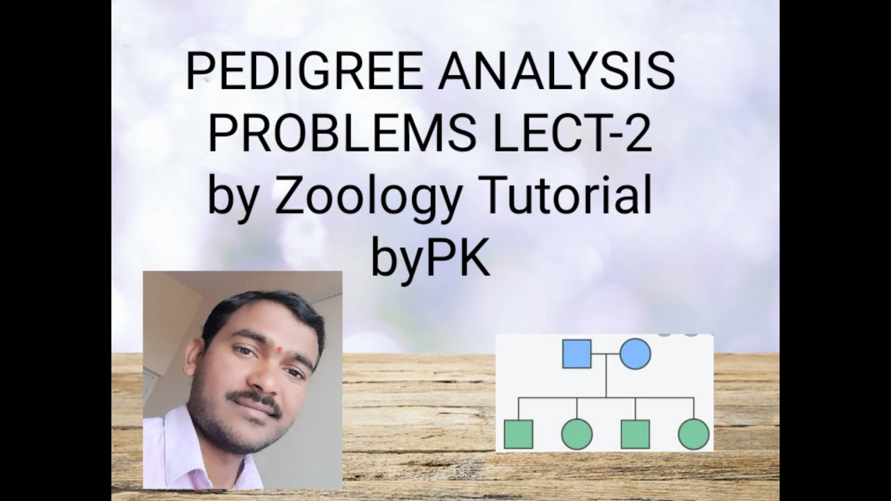 PEDIGREE ANALYSIS PROBLEMS YouTube pedigree-analysis-problems-youtube