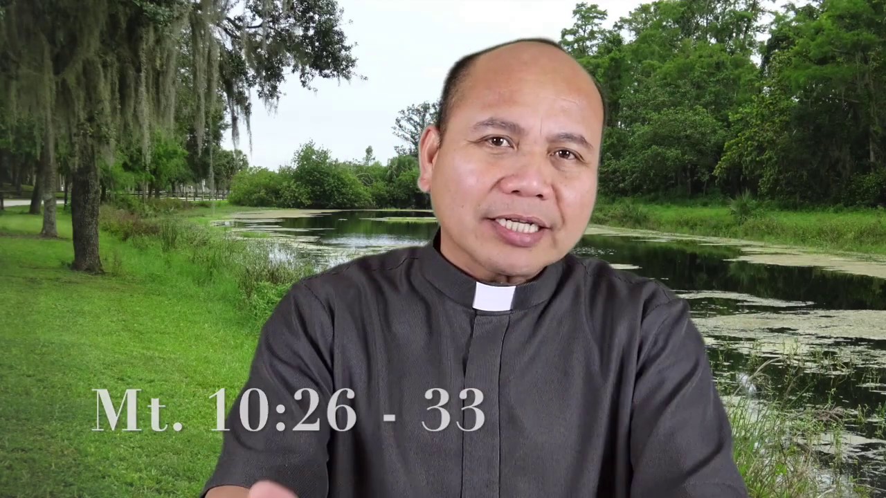 Homily 12th Sunday Ordinary Time, Cycle A, Give Witness to Faith, Fear ...