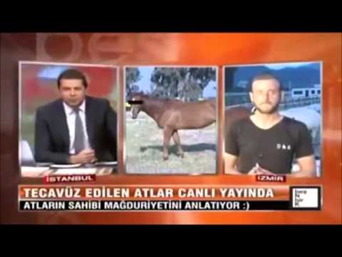 Tecavüze Uğrayan Atlar 5N1K Programında