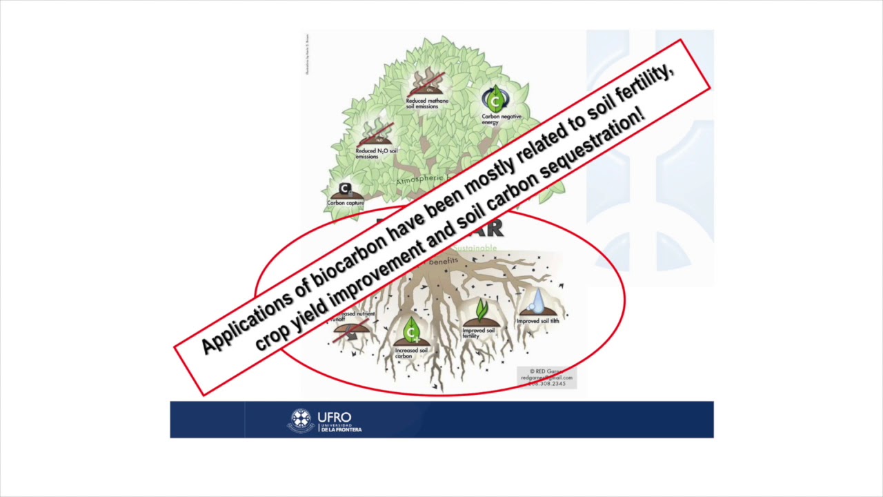 Rodrigo Navia // Biorrefinerías y bioeconomía - YouTube