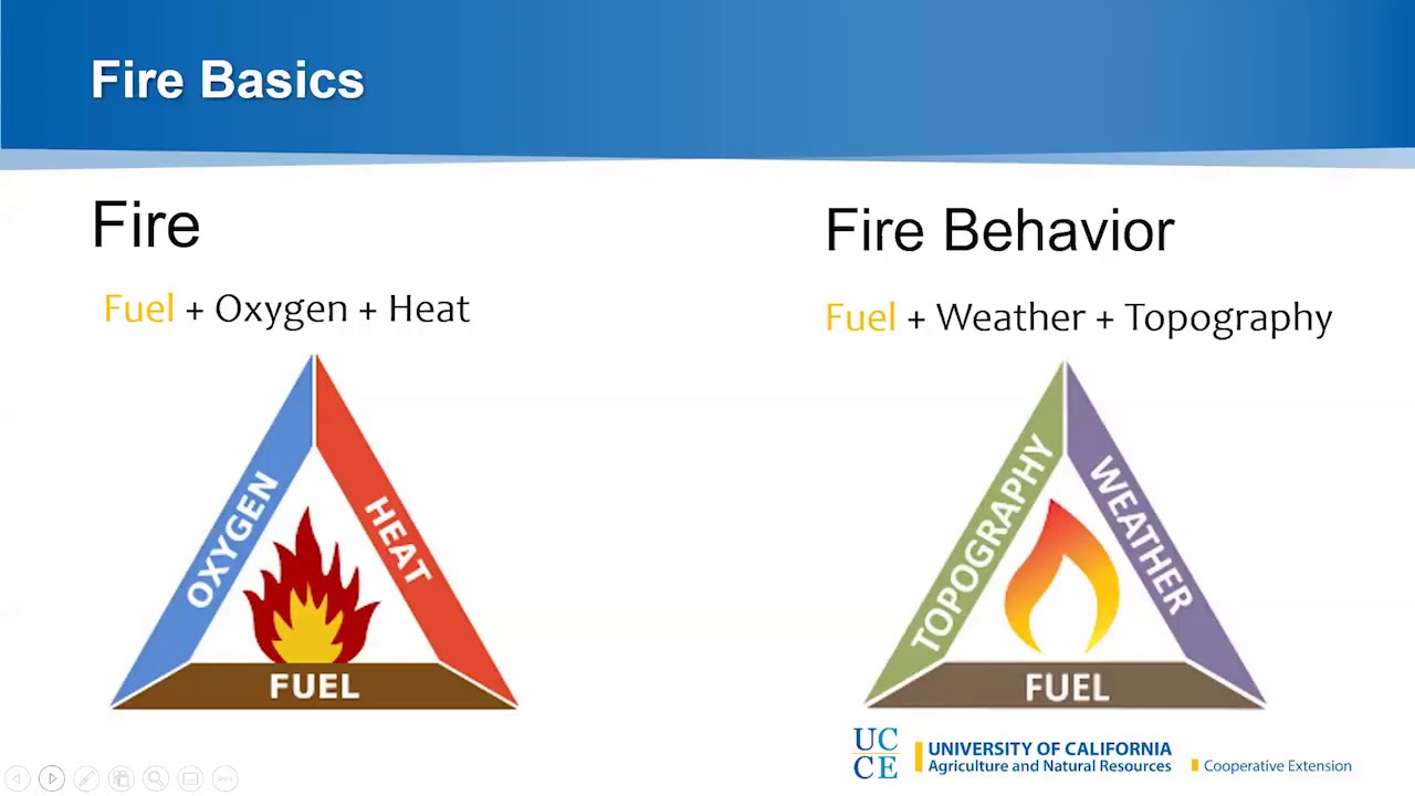 Fire Basics Overview - YouTube