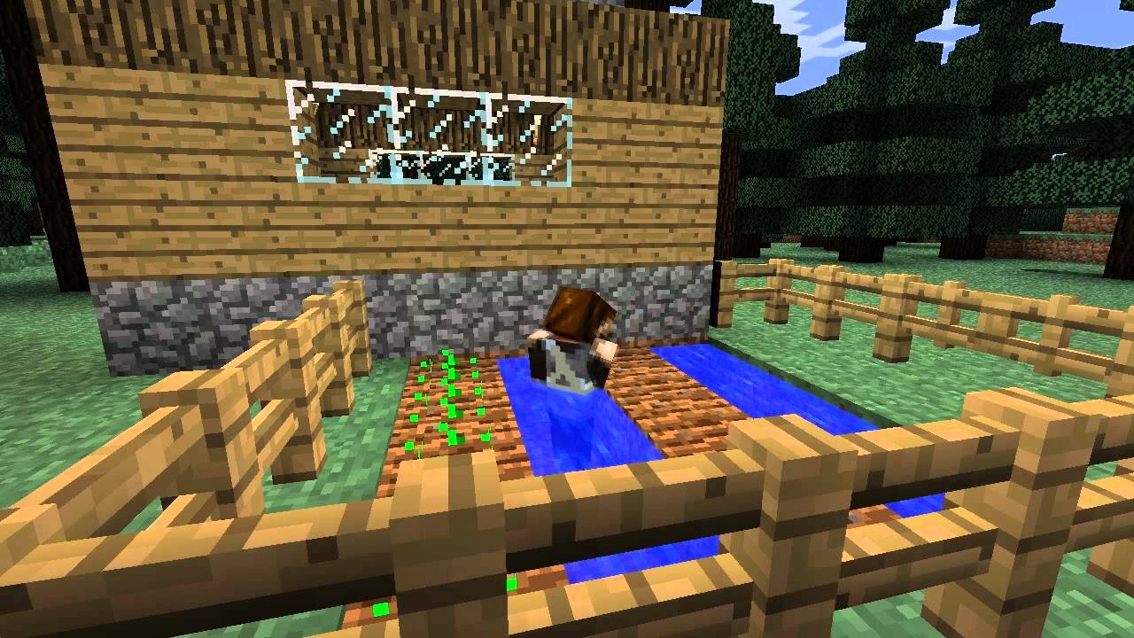 Minecraft: Griefing - YouTube