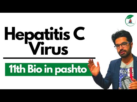 Hepatitis C Virus | 11th biology | HCV - YouTube