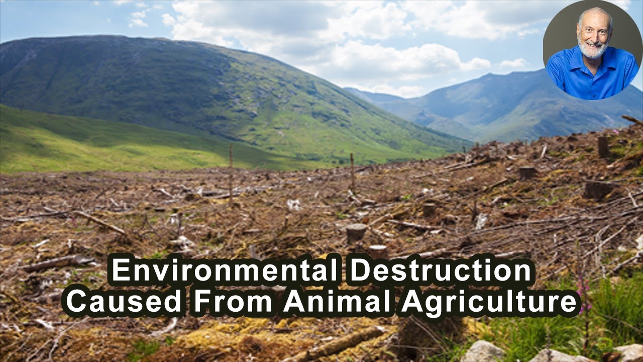 The Majority Of Environmental Destruction On The Planet Today Is From ...