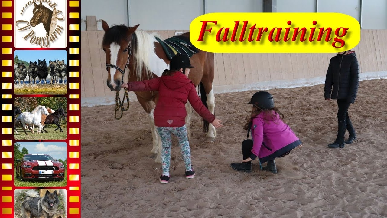 Falltraining / Fallkurs für Reiter - Richtig fallen kann man lernen ...