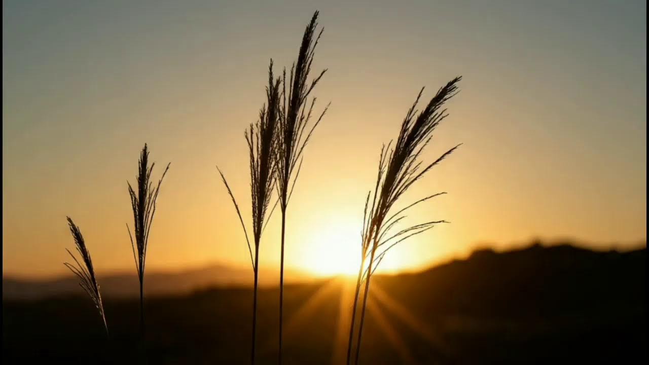 Instrumental sad | relaxing deep sleep - YouTube