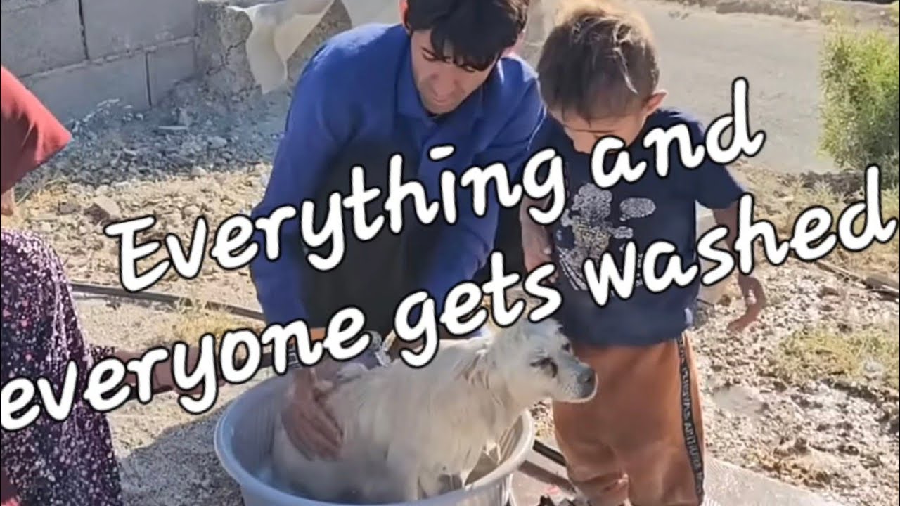‎@chavil4969 - " Wash the floors, clean the kitchen, wash Doki, and don ...