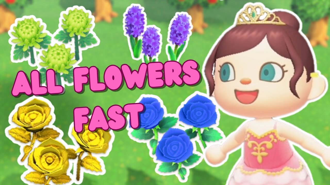 The ULTIMATE guide to flower breeding - YouTube