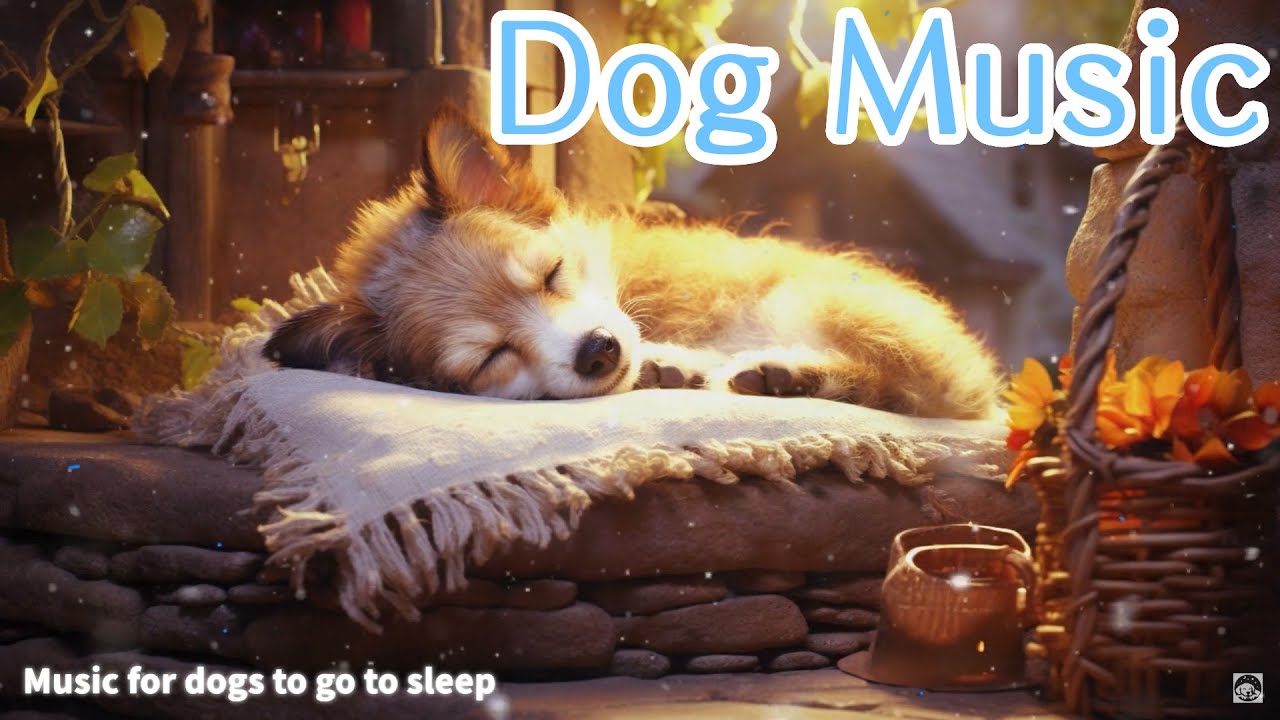 Dog Music💖🐶 Calm your dog down. Relaxing Sleep Music for dogs - YouTube